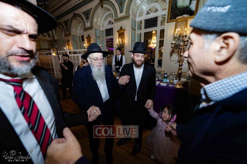 Wedding: Cohen - Cohen